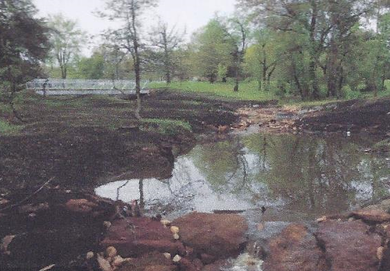 Forest Drive Step Pool Conveyance System | MOST Center
